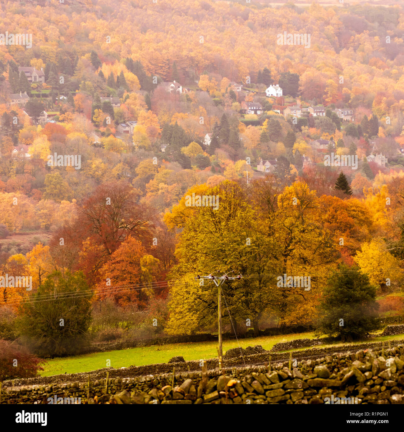 Leam, or historically Leam Farm, is a hamlet in the English county of ...
