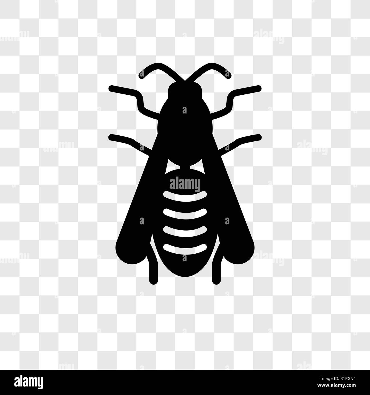 Wasp vector icon isolated on transparent background, Wasp transparency ...