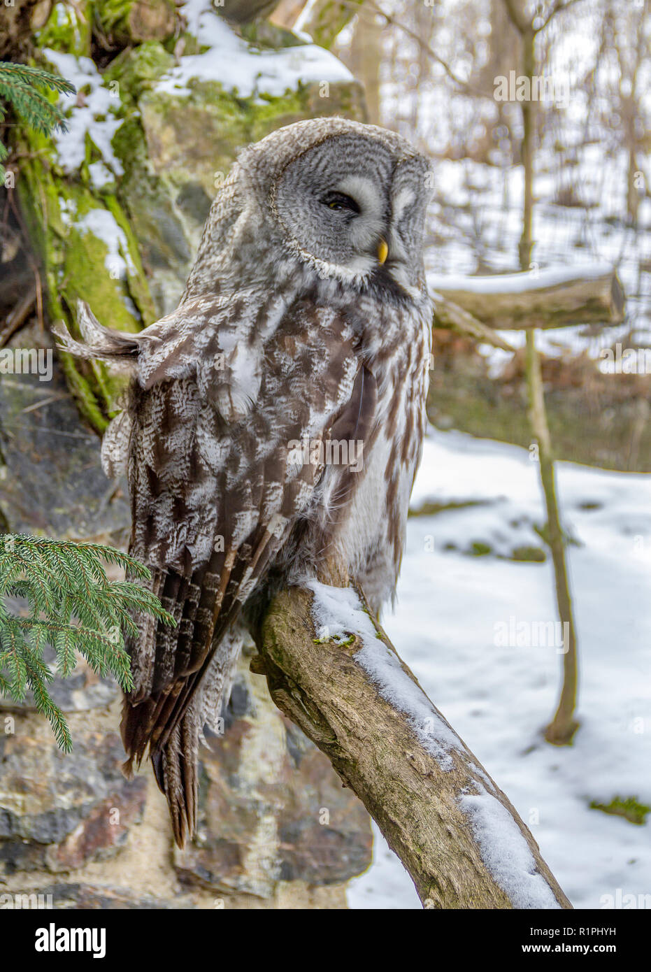 Phantom grey hi-res stock photography and images - Alamy