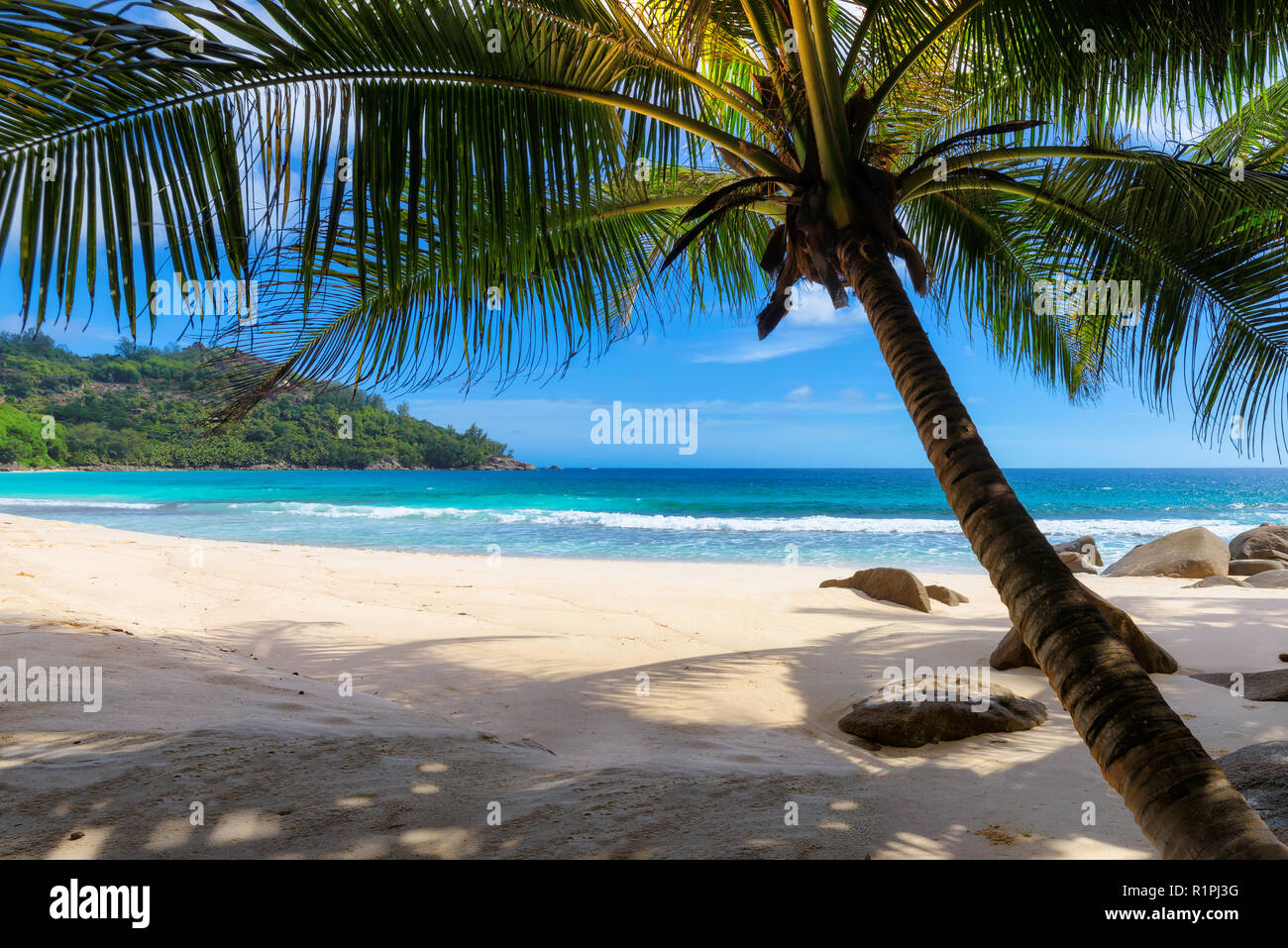 Exotic tropical beach Stock Photo - Alamy