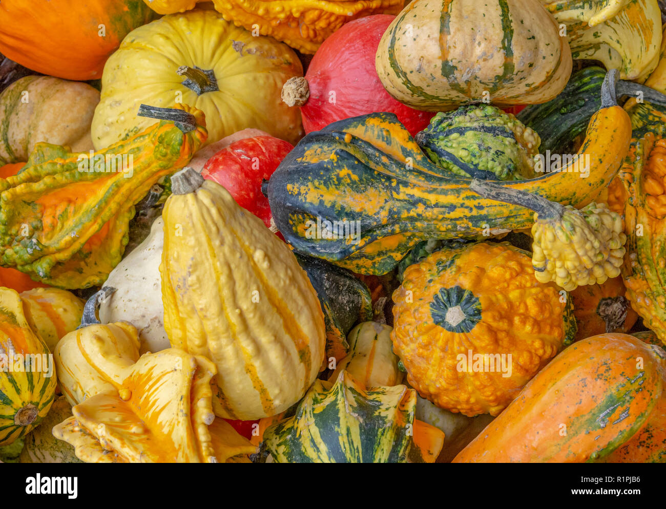 Decorative gourd hi-res stock photography and images - Alamy