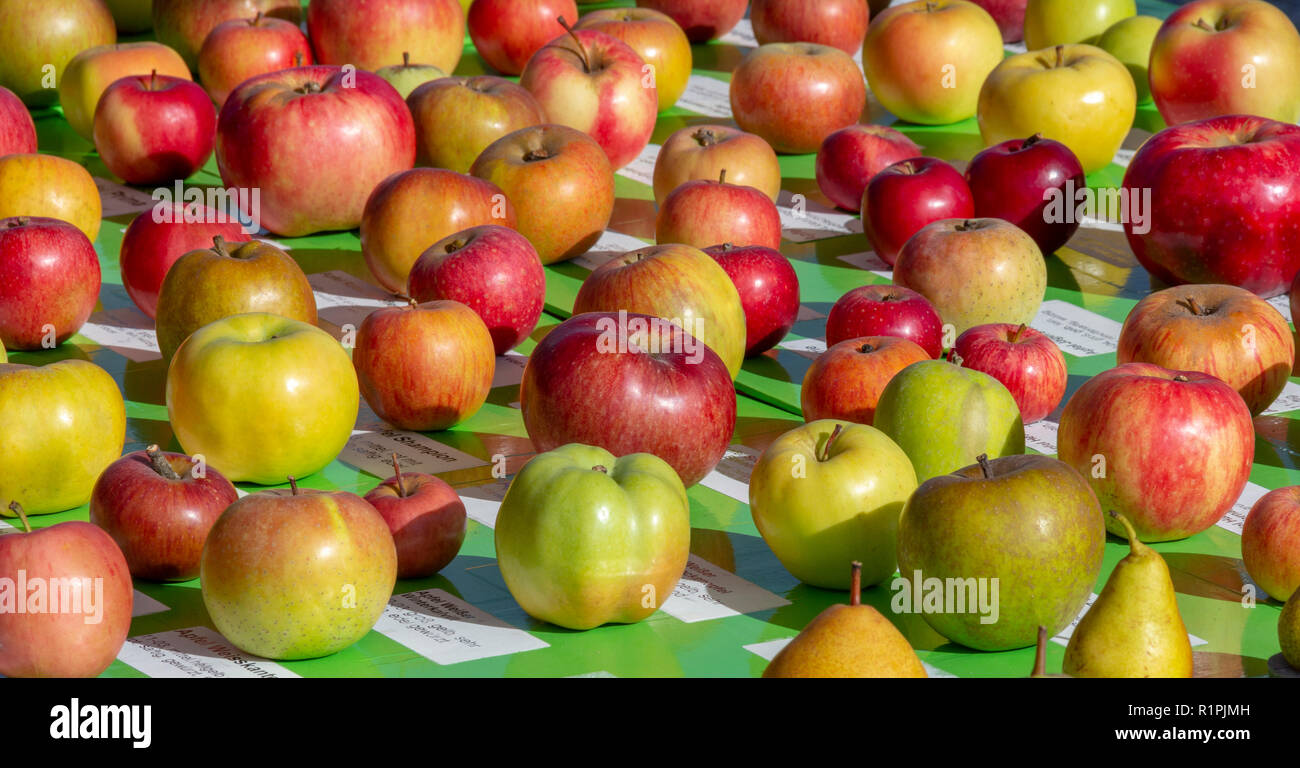 Apple breeds hi-res stock photography and images - Alamy
