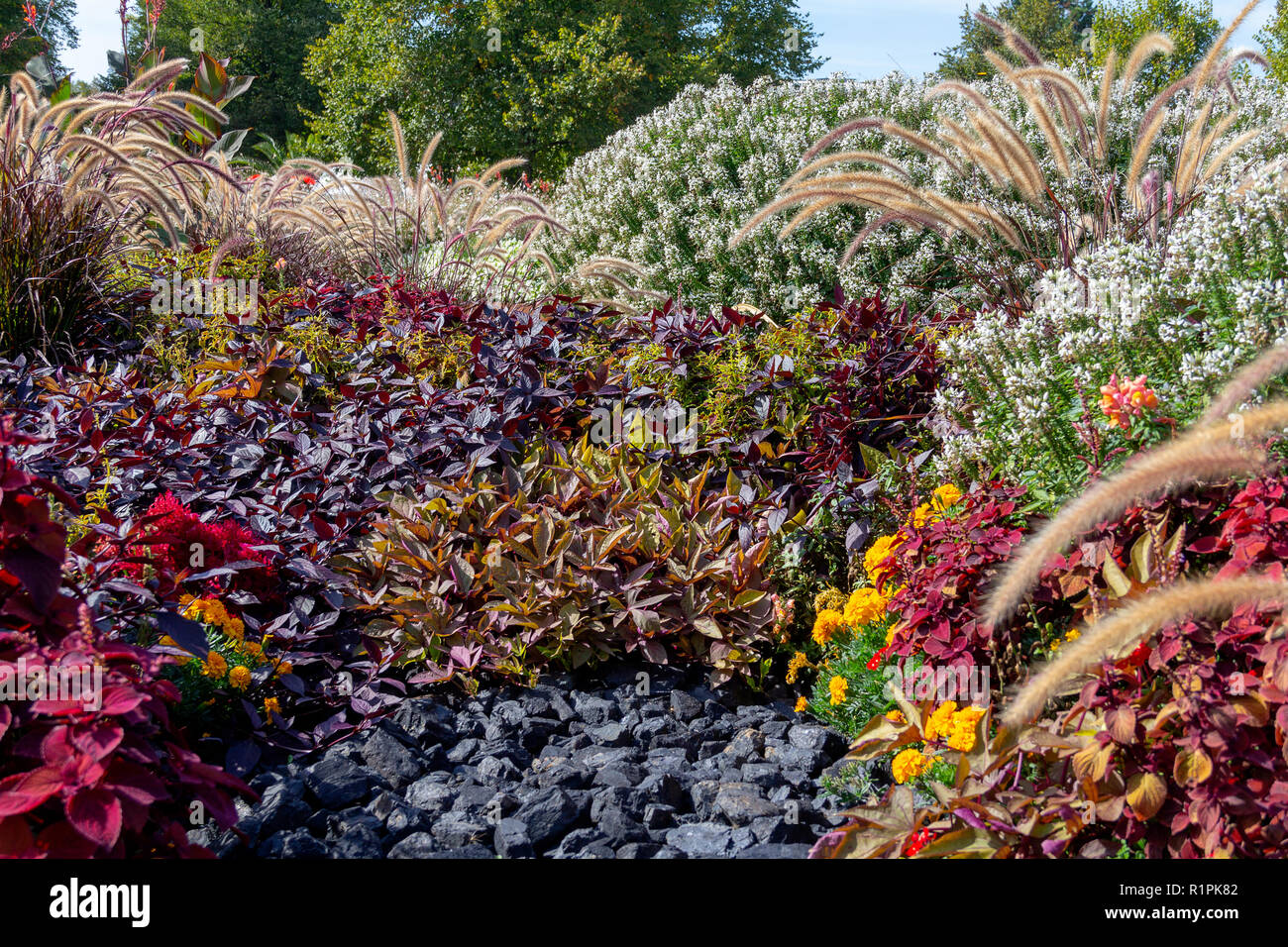 Colorful arrangement hi-res stock photography and images - Alamy