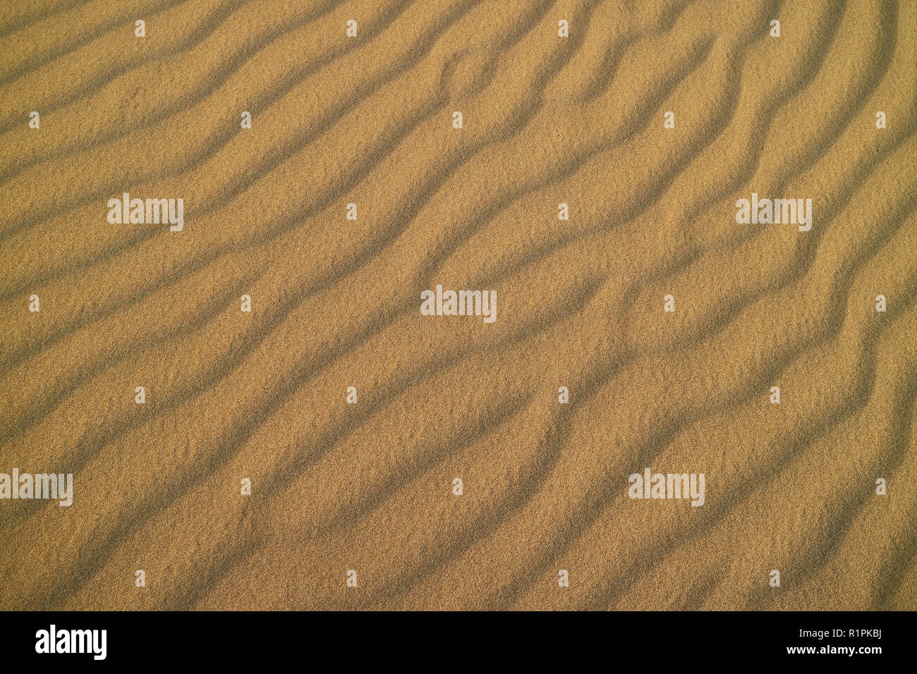 Impressive sand ripple pattern on the sand dune of Huacachina desert ...