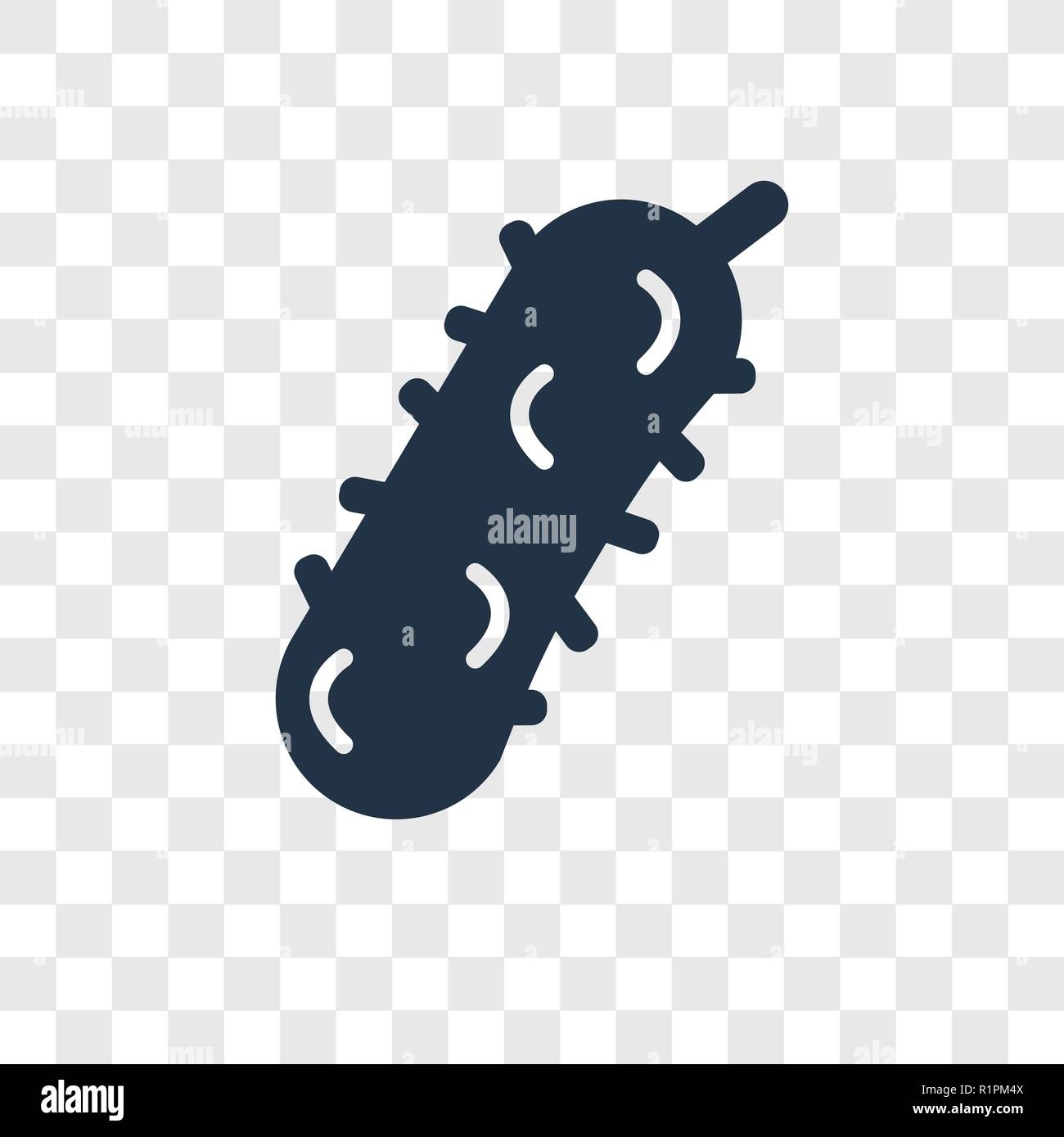 Pickle vector icon isolated on transparent background, Pickle ...