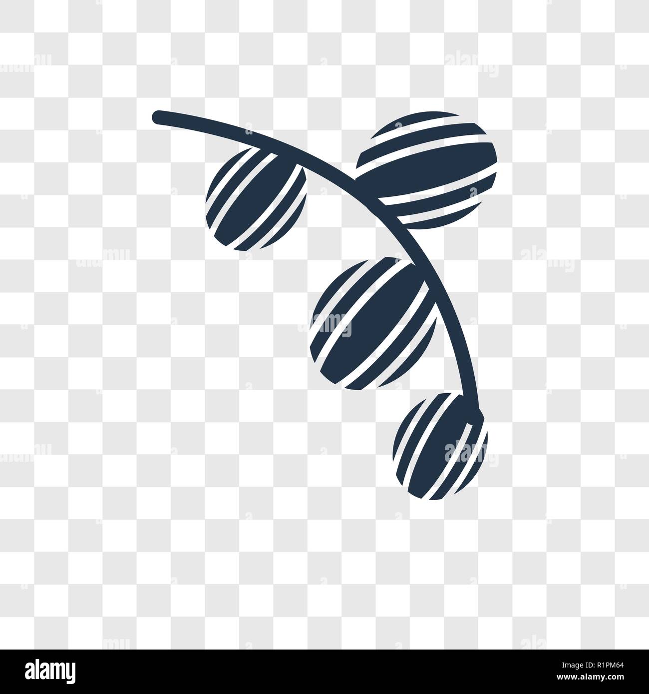 Gooseberry vector icon isolated on transparent background, Gooseberry ...