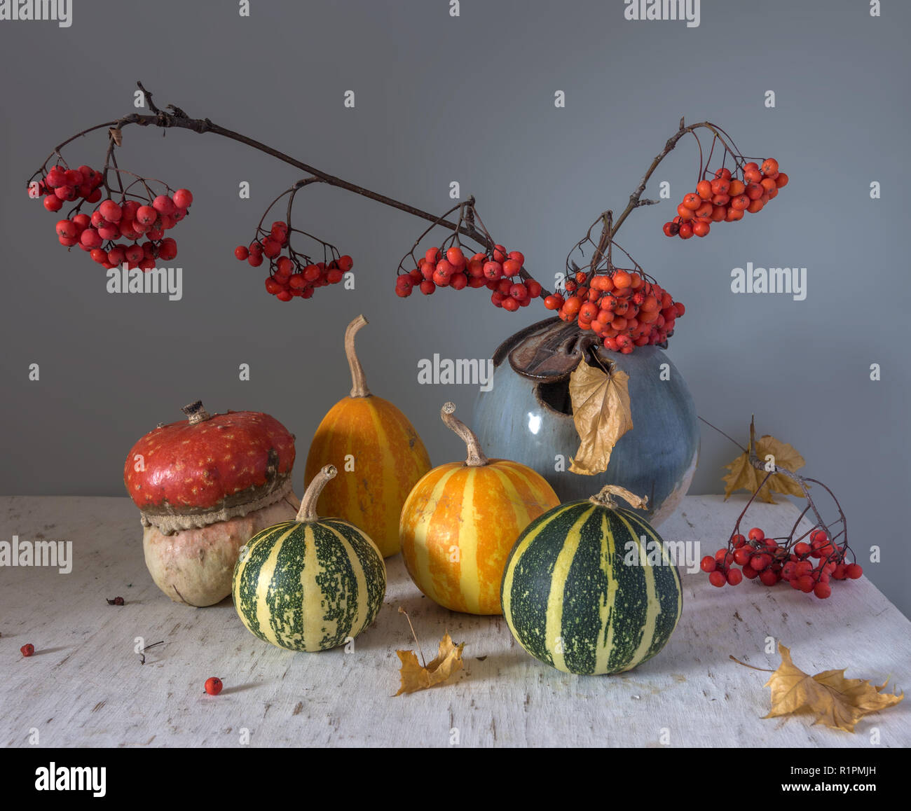 Still life pumpkins vintage hi-res stock photography and images - Alamy