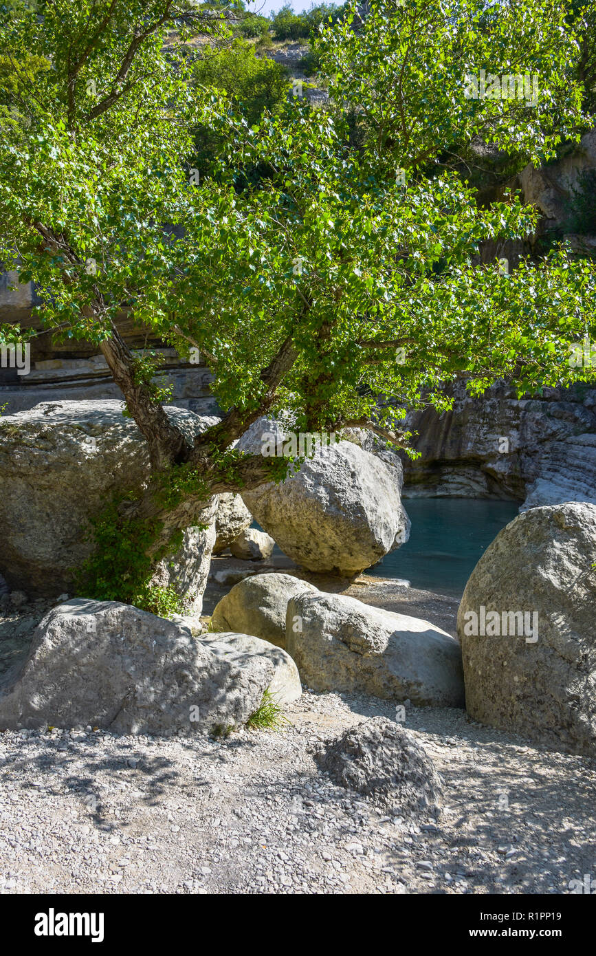idyll with tree and rocks at the riverside, Gorges de la Méouge ...