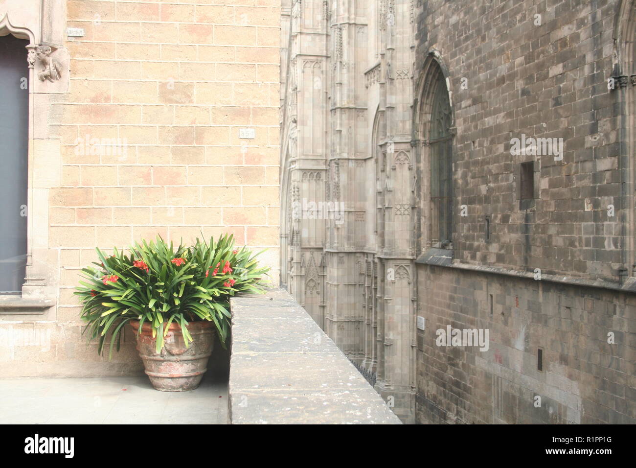 Outdoor cathedral hi-res stock photography and images - Alamy