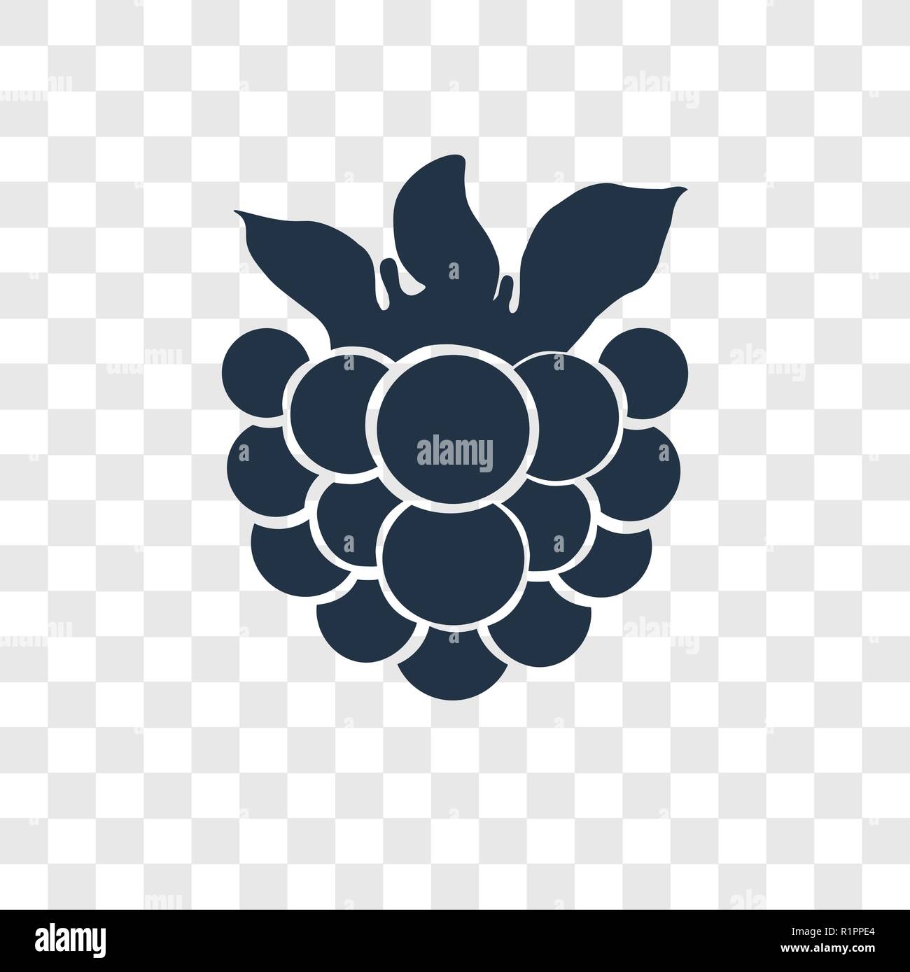 Raspberry vector icon isolated on transparent background, Raspberry ...