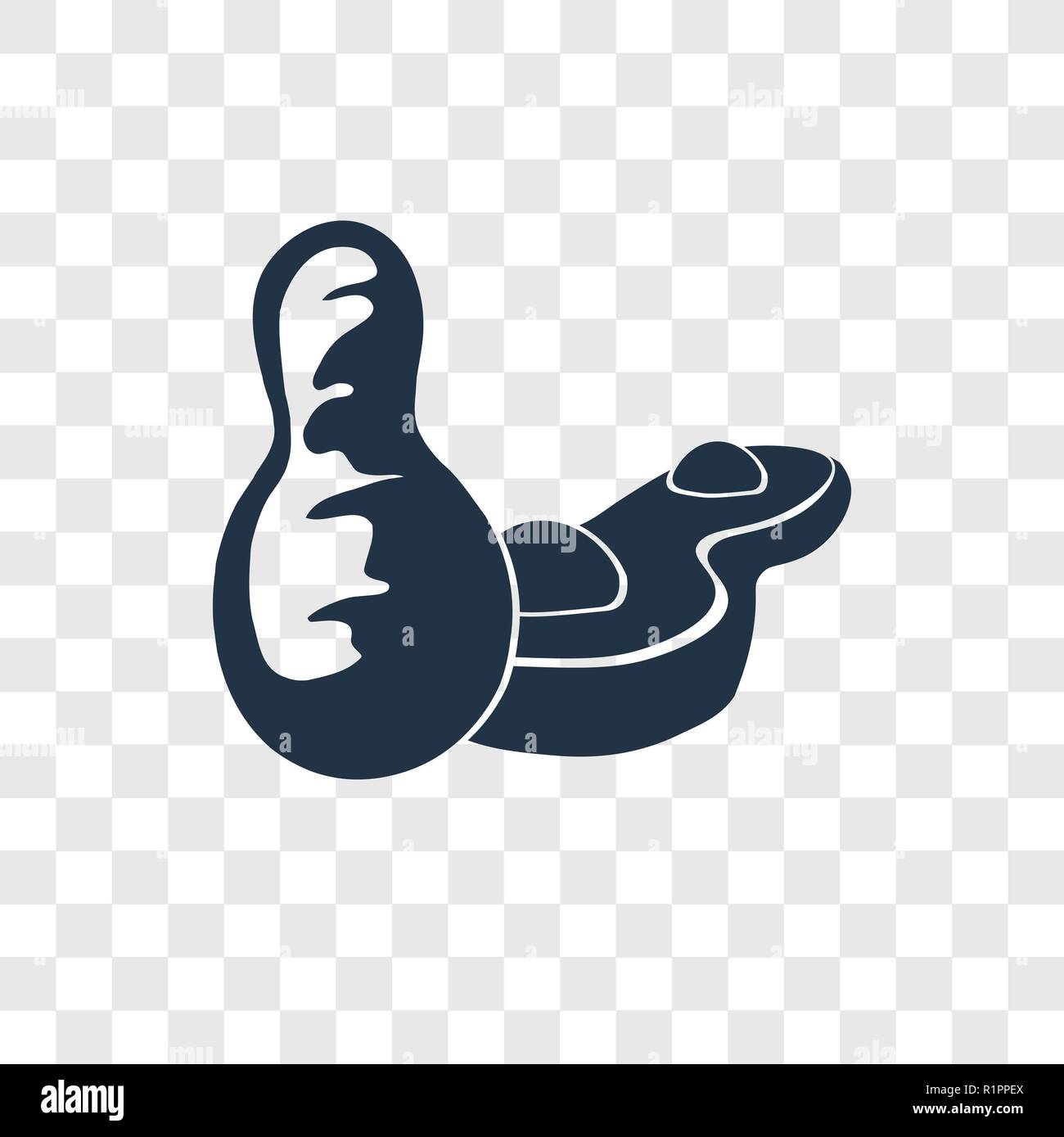 Peanut vector icon isolated on transparent background, Peanut ...