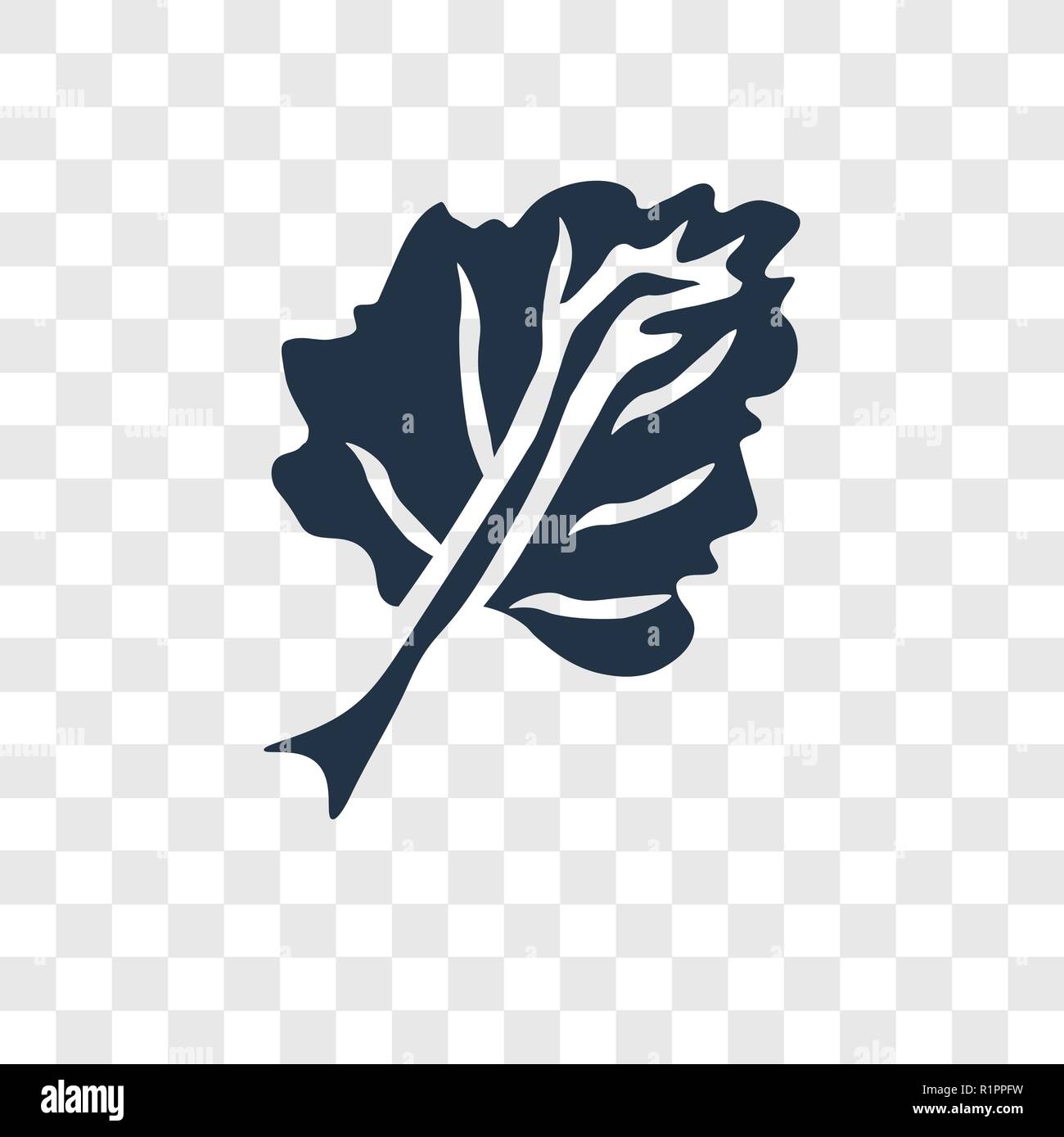Lettuce vector icon isolated on transparent background, Lettuce ...