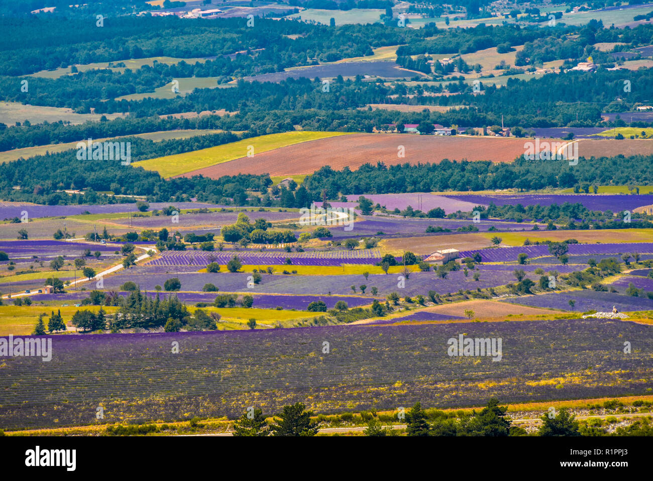 Violet scenery hi-res stock photography and images - Alamy