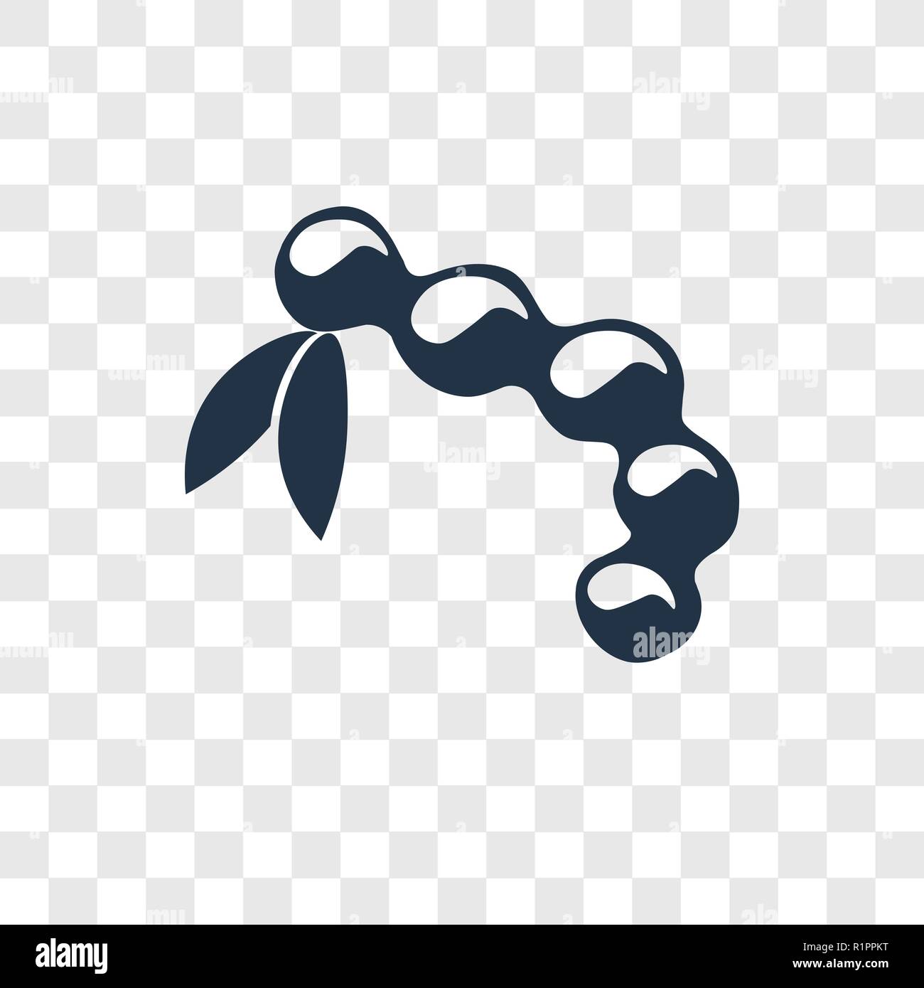 Tamarind vector icon isolated on transparent background, Tamarind ...