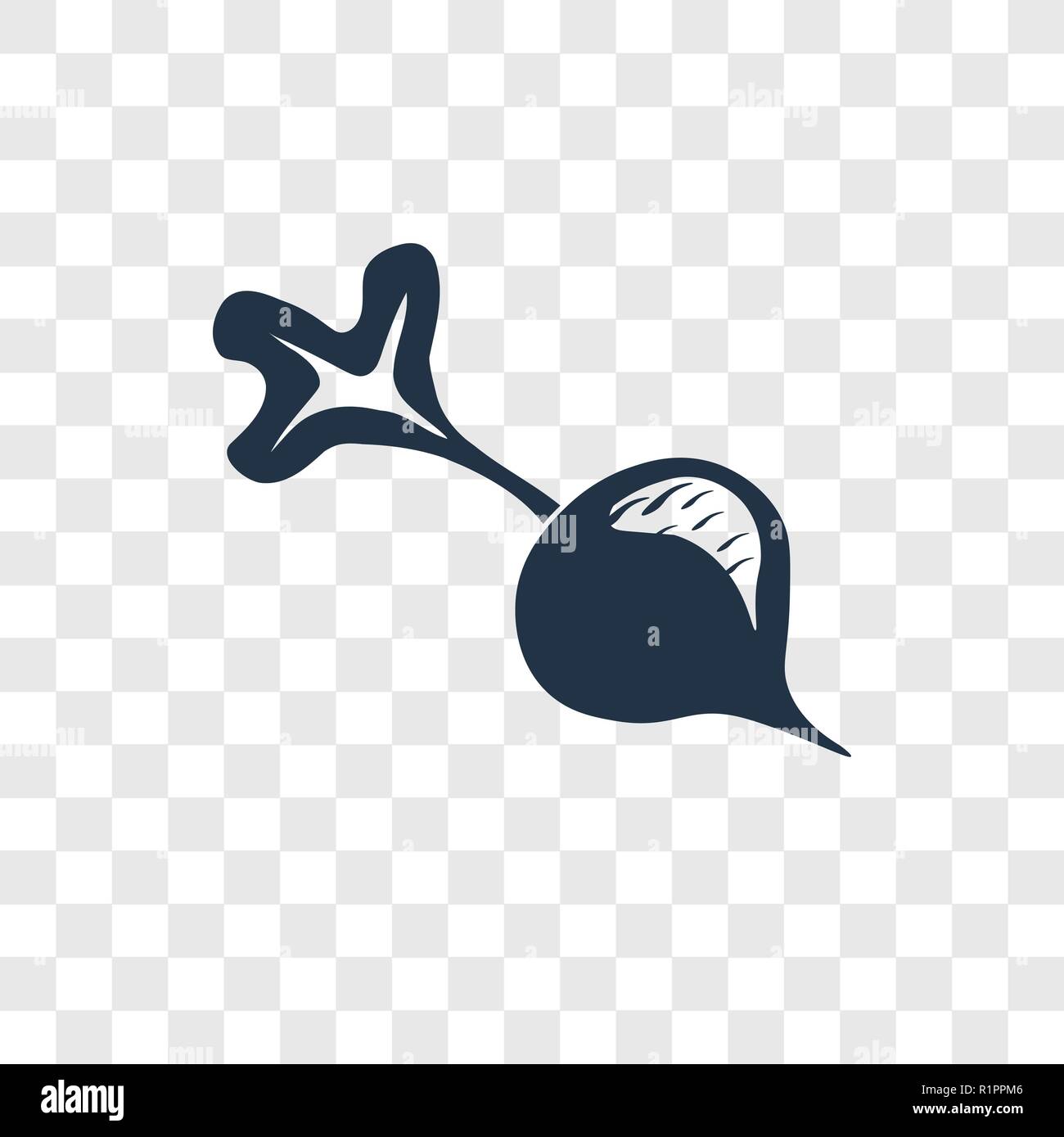 Beetroot vector icon isolated on transparent background, Beetroot ...