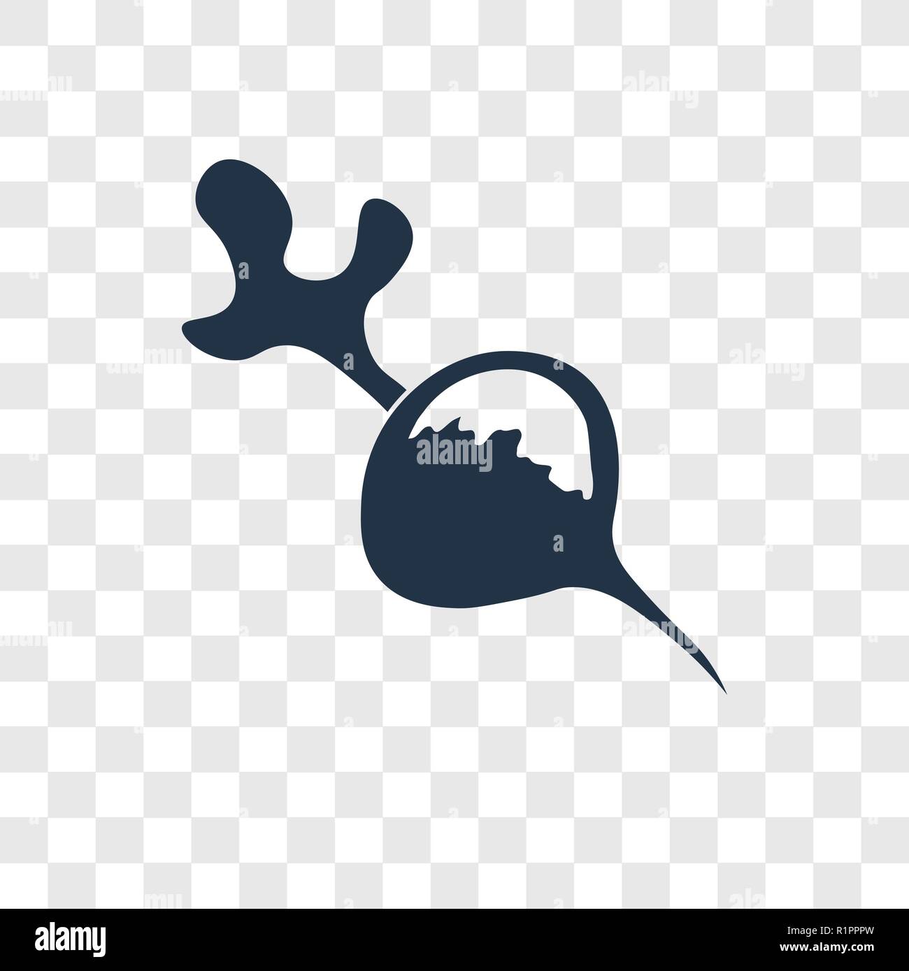 Radish vector icon isolated on transparent background, Radish ...