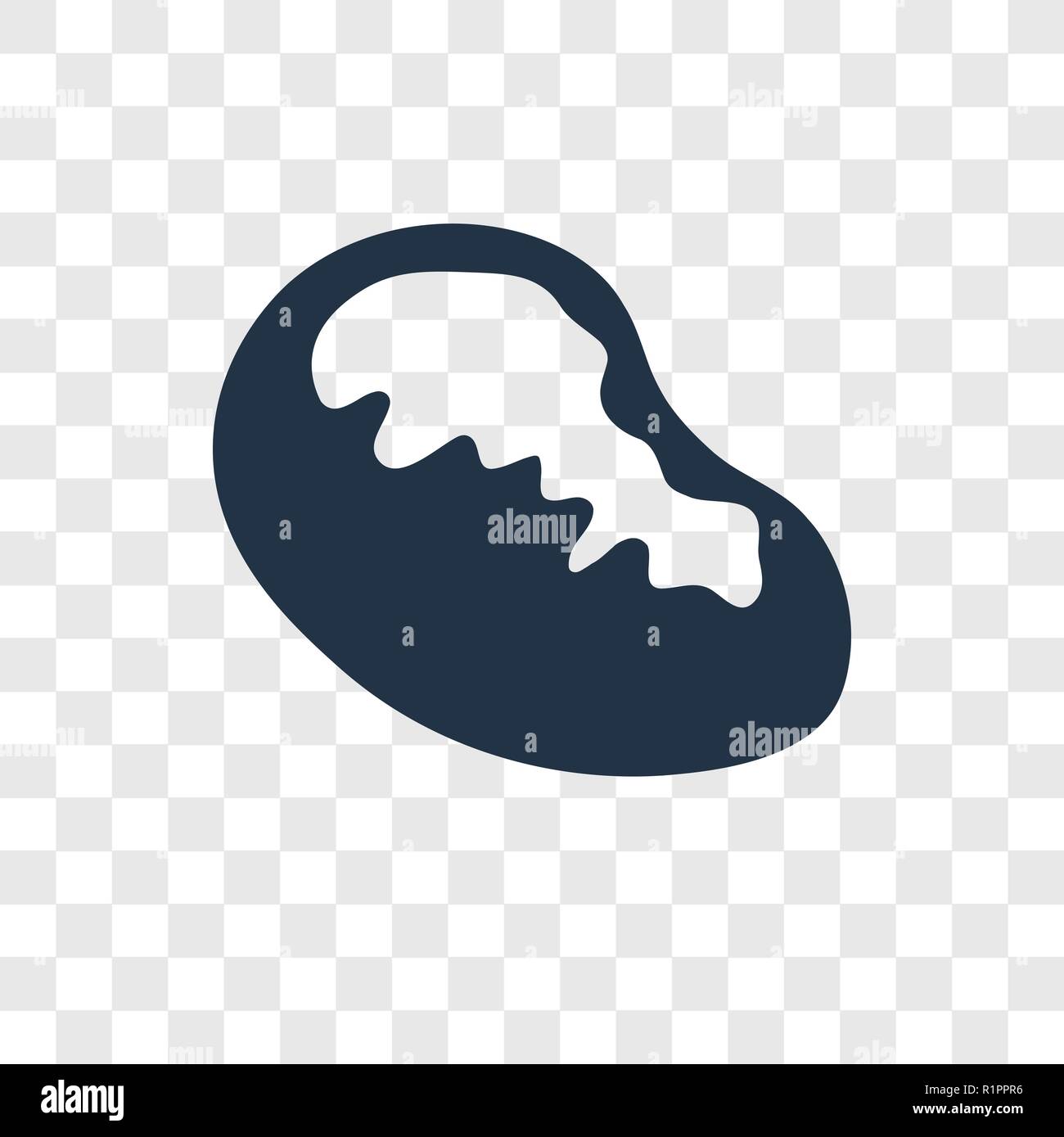Potato vector icon isolated on transparent background, Potato ...