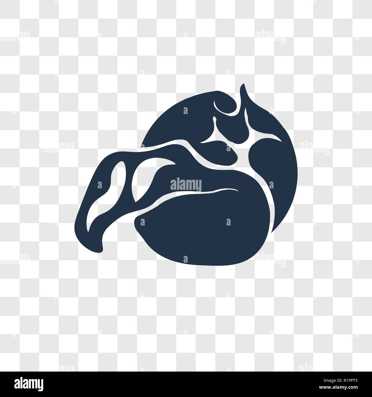 Cabbage vector icon isolated on transparent background, Cabbage ...
