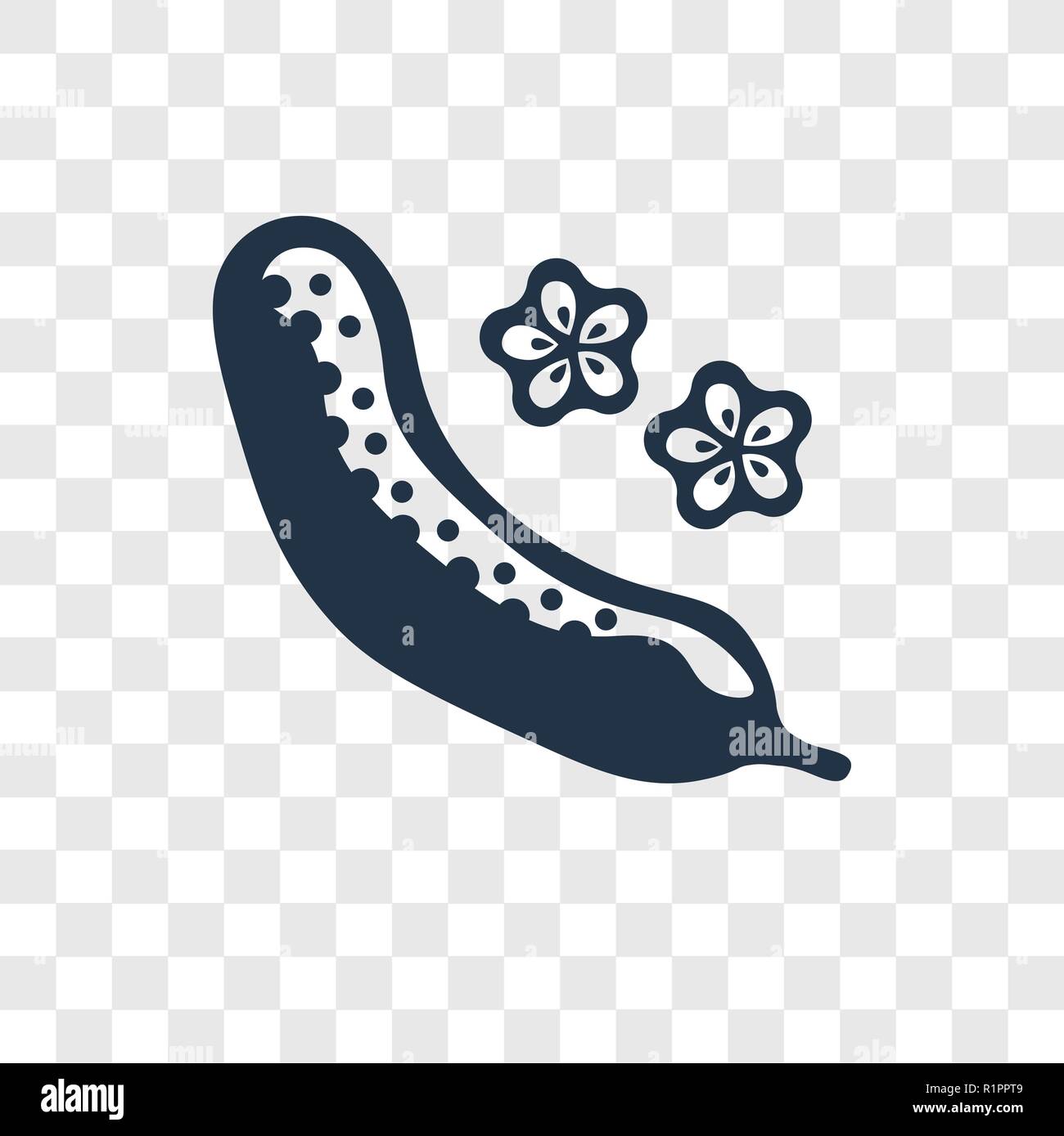 Cucumber vector icon isolated on transparent background, Cucumber ...