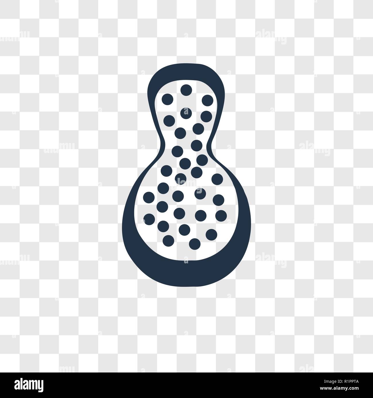 Papaya vector icon isolated on transparent background, Papaya ...