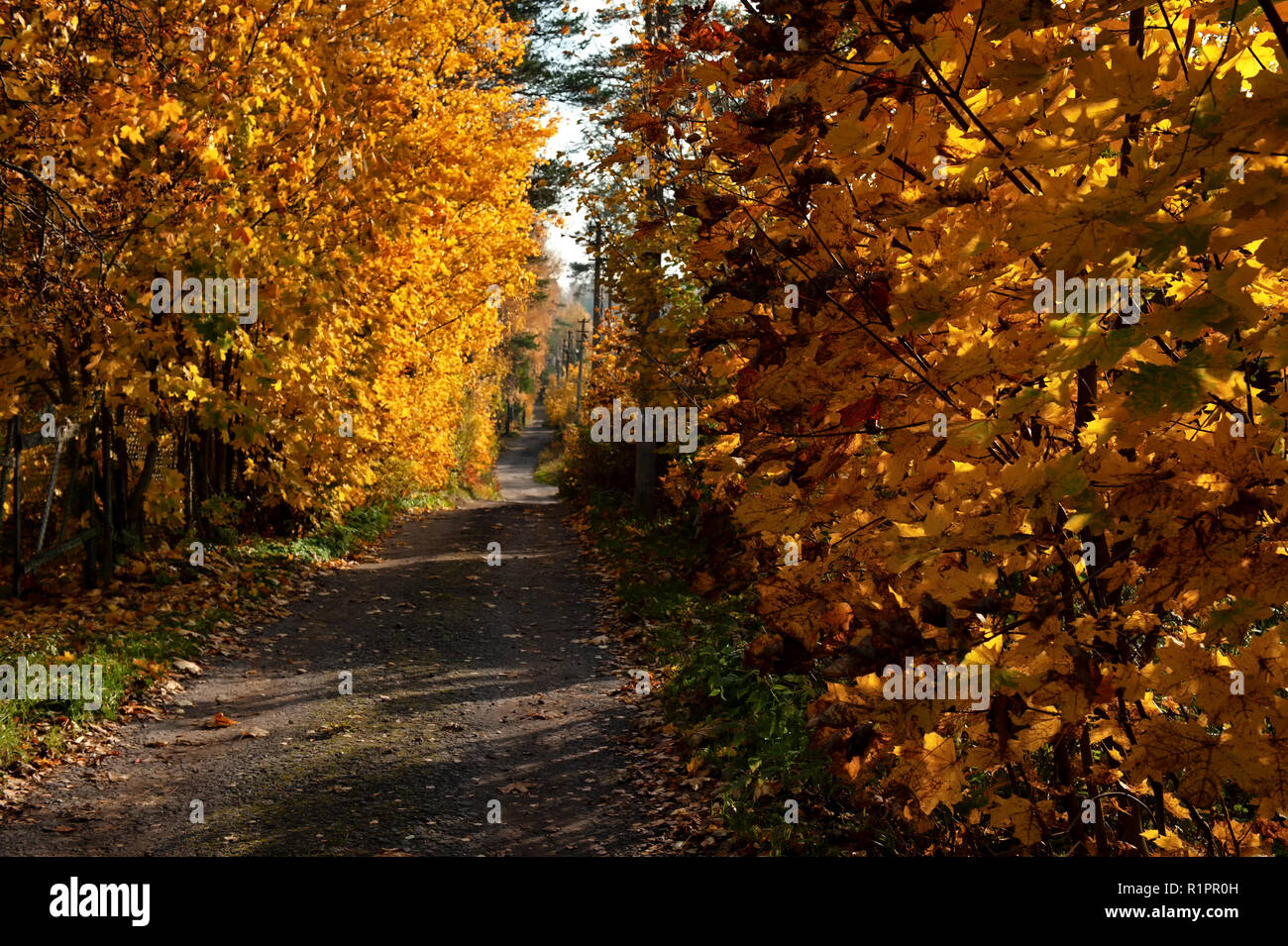 Empty soil hi-res stock photography and images - Alamy