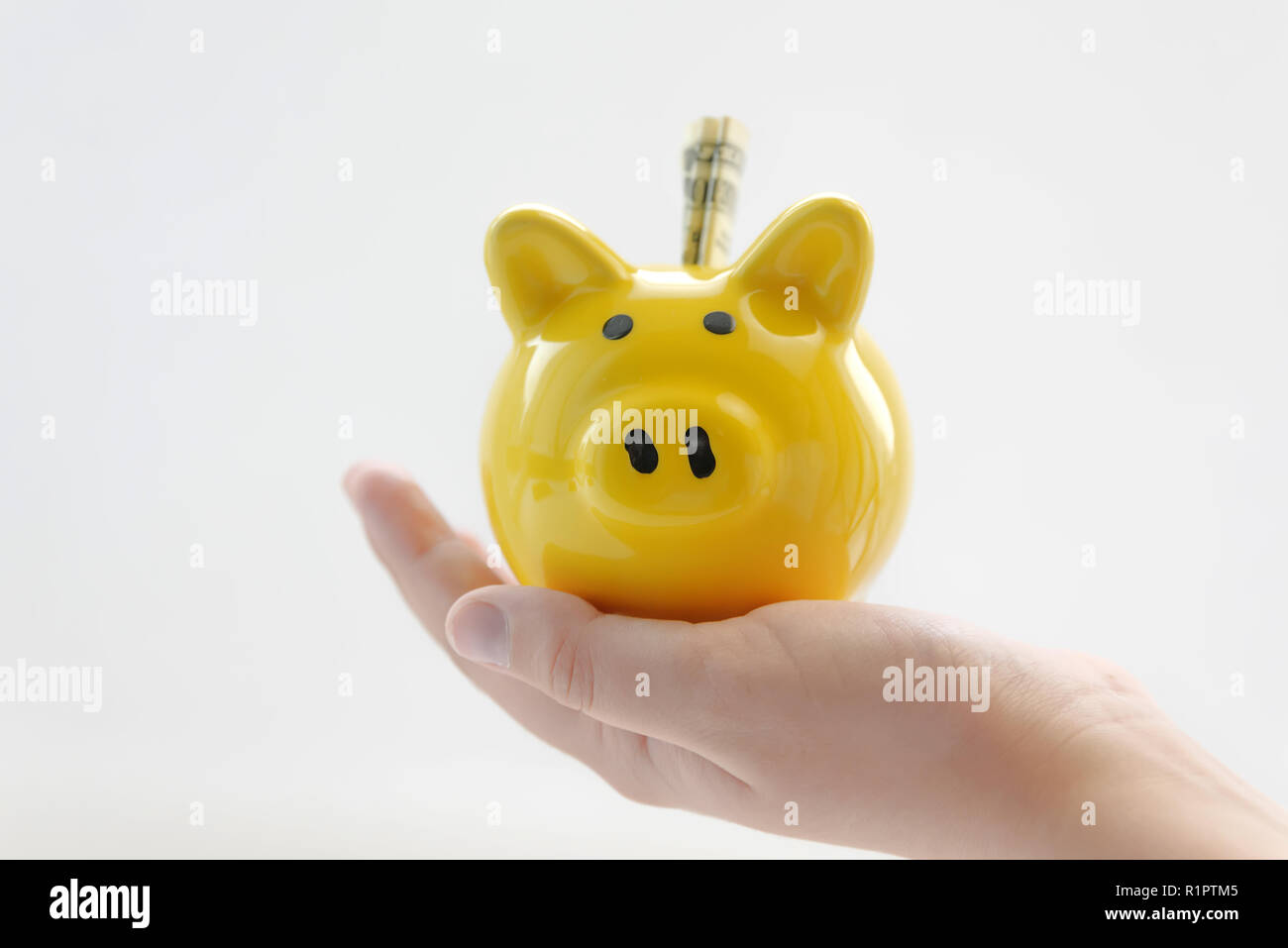 yellow pig moneybox in the hands of a child. one dollar. White ...