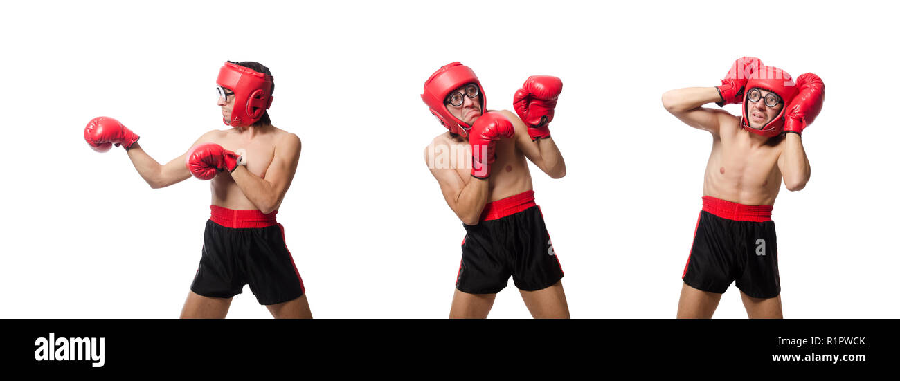 Funny boxer isolated on the white Stock Photo - Alamy