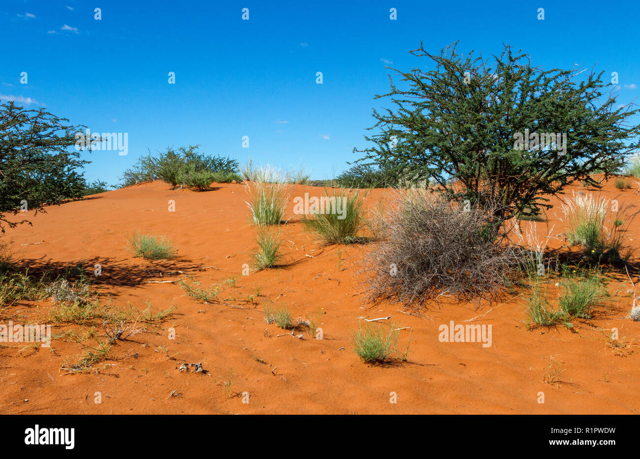 Driving through the arid landscape of the Northern Cape province of ...