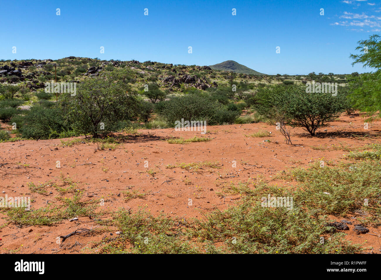 Driving through the arid landscape of the Northern Cape province of ...