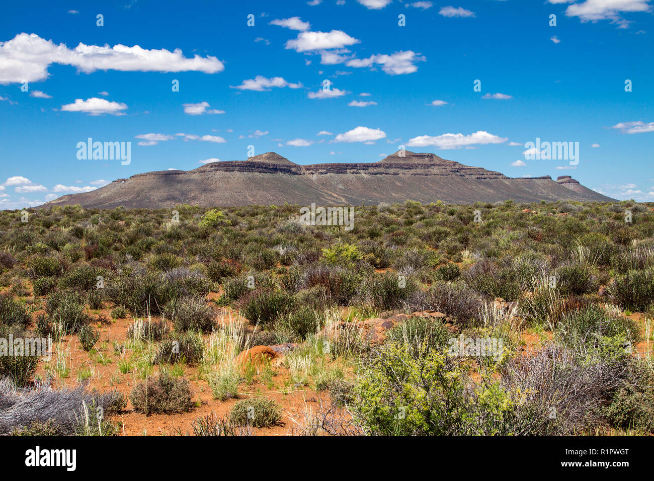 Driving through the arid landscape of the Northern Cape province of ...