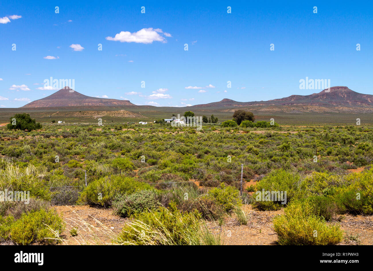 Driving through the arid landscape of the Northern Cape province of ...