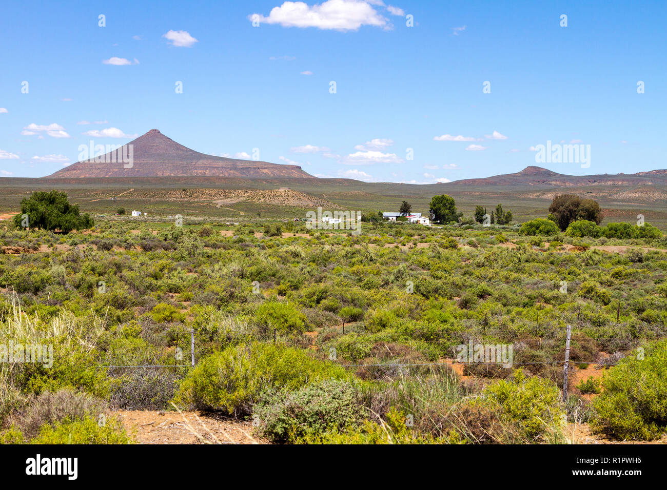 Driving through the arid landscape of the Northern Cape province of ...