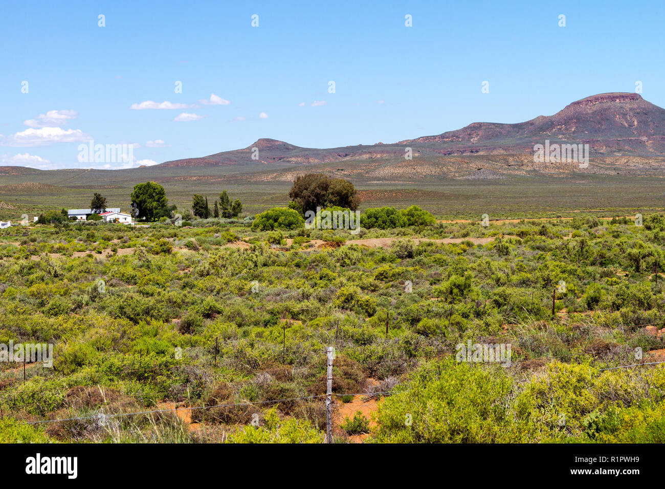 Driving through the arid landscape of the Northern Cape province of ...