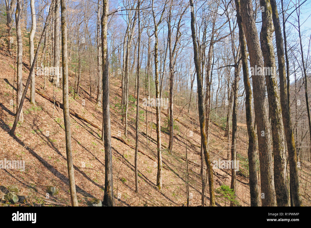 Dry sluice gap trail hi-res stock photography and images - Alamy