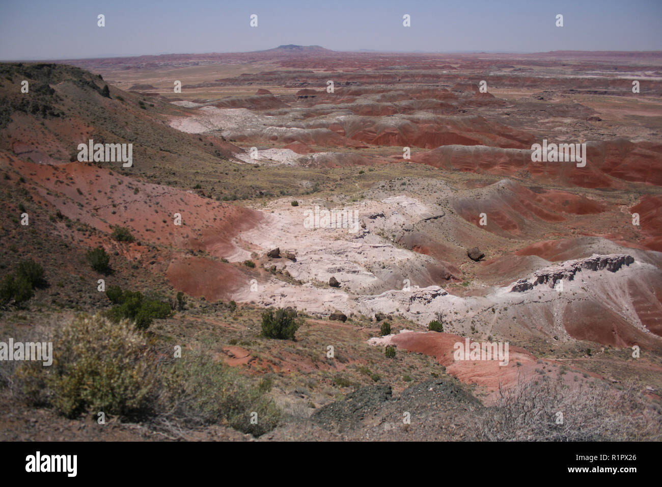 Colorful dunes of Painted Desert, Petrified Forest National Park ...