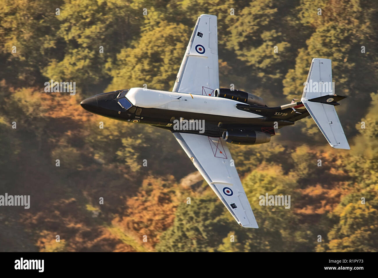 Raf typhoon low flying hi-res stock photography and images - Alamy