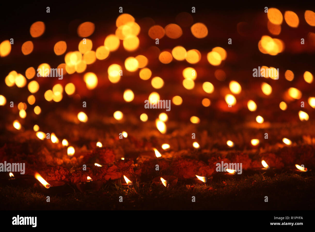 Beautiful earthen traditional lamps put in a garden lawn during Diwali ...