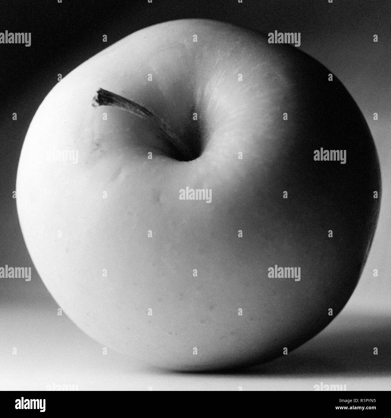 1980s photography hi-res stock photography and images - Alamy