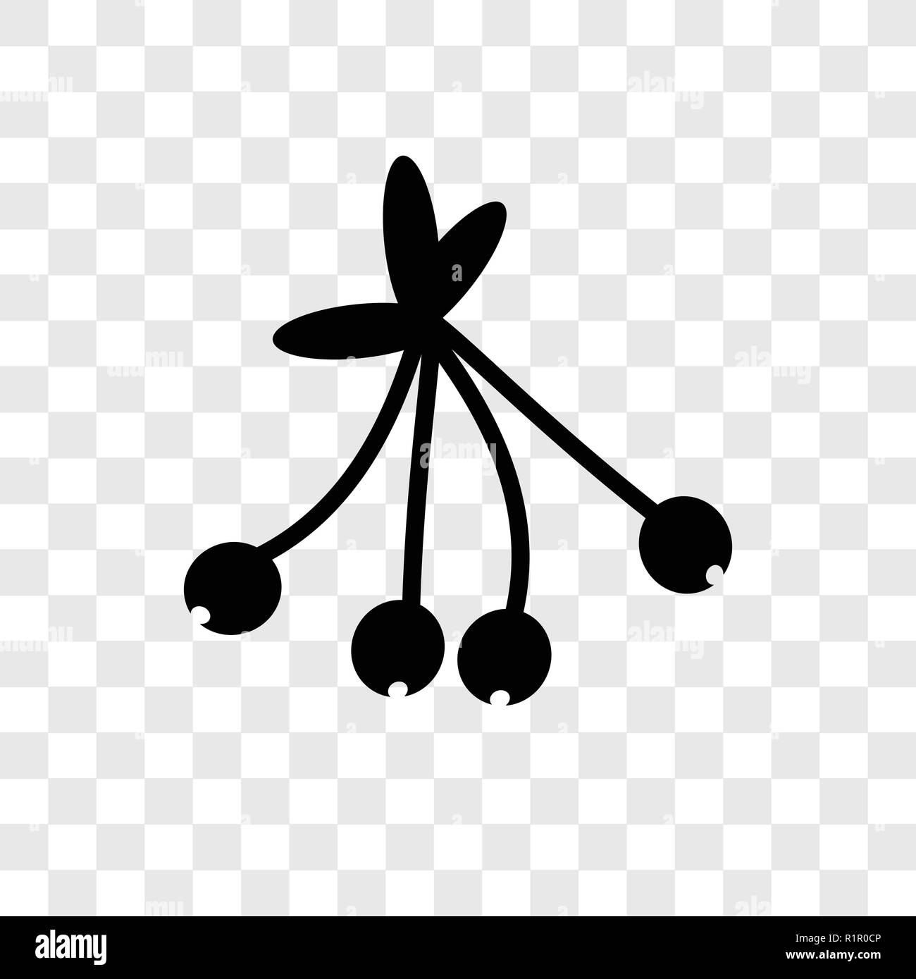 Rowan vector icon isolated on transparent background, Rowan ...