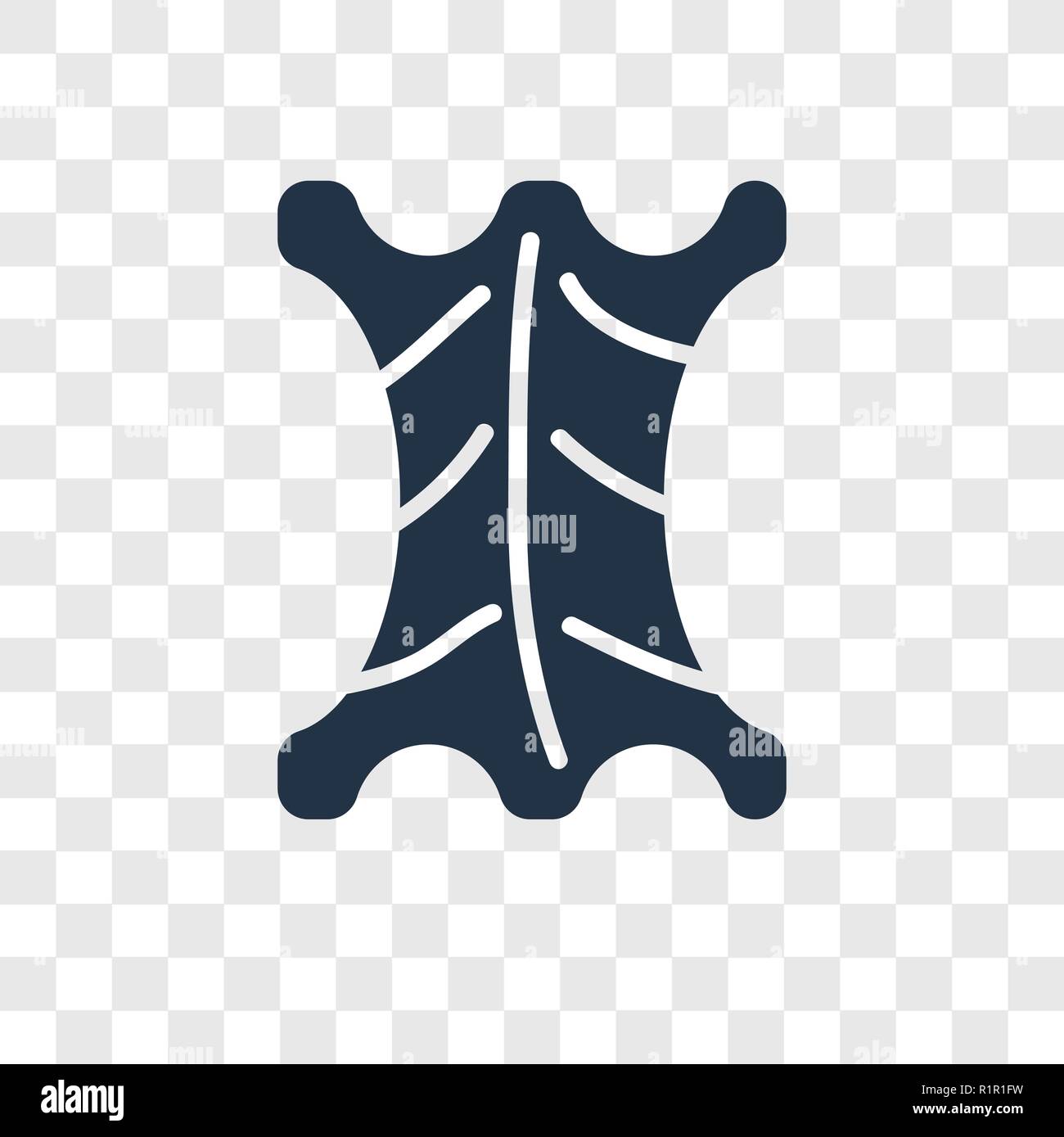 Skin vector icon isolated on transparent background, Skin transparency ...