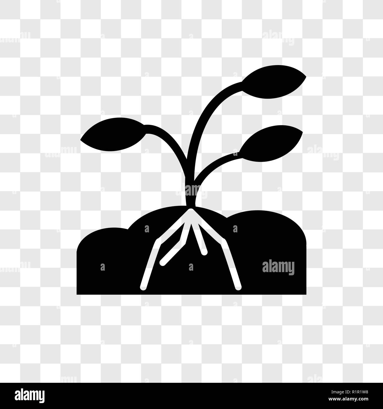 Sprout vector icon isolated on transparent background, Sprout ...