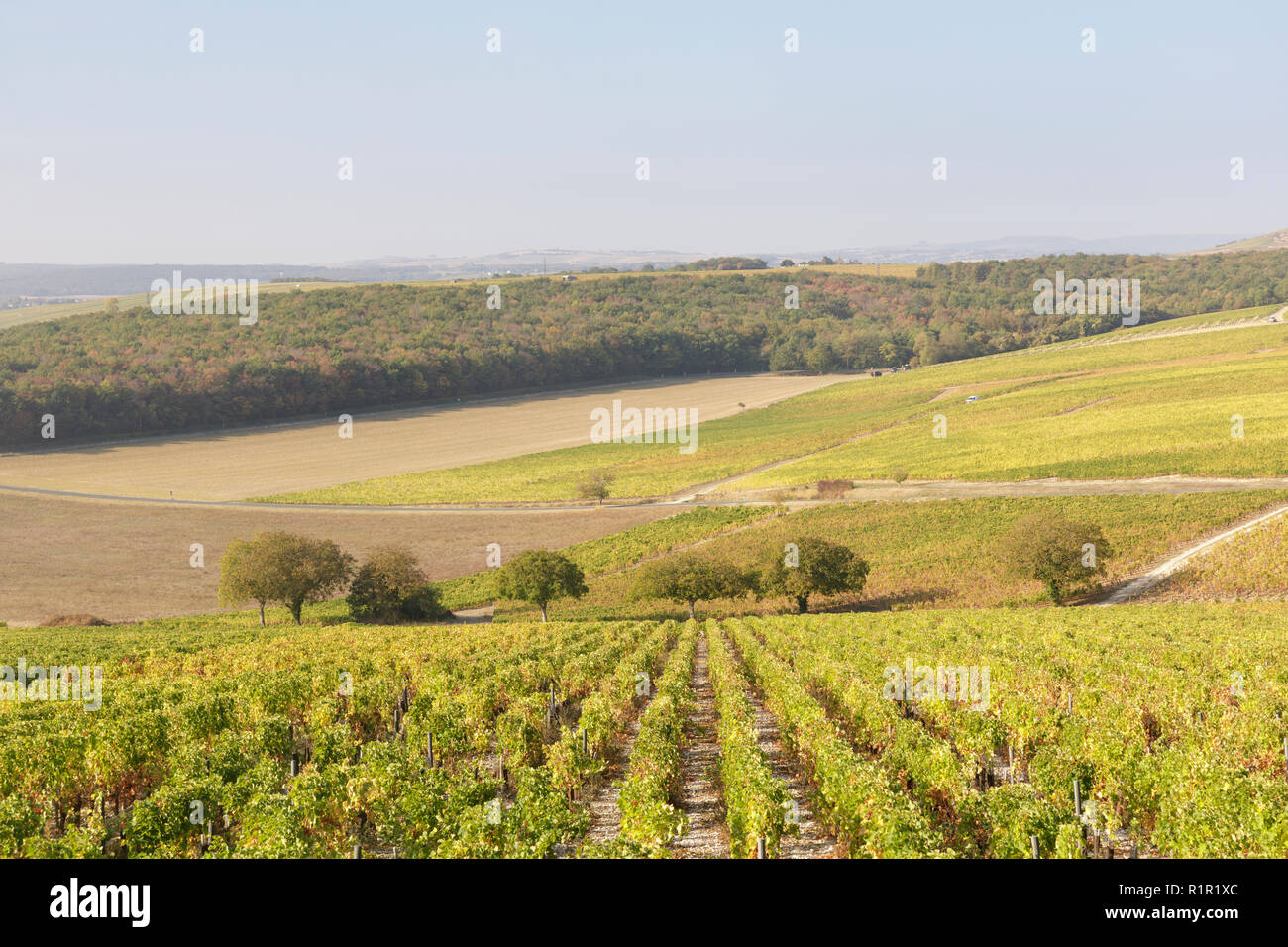 Loire valley france vineyard hi-res stock photography and images - Alamy