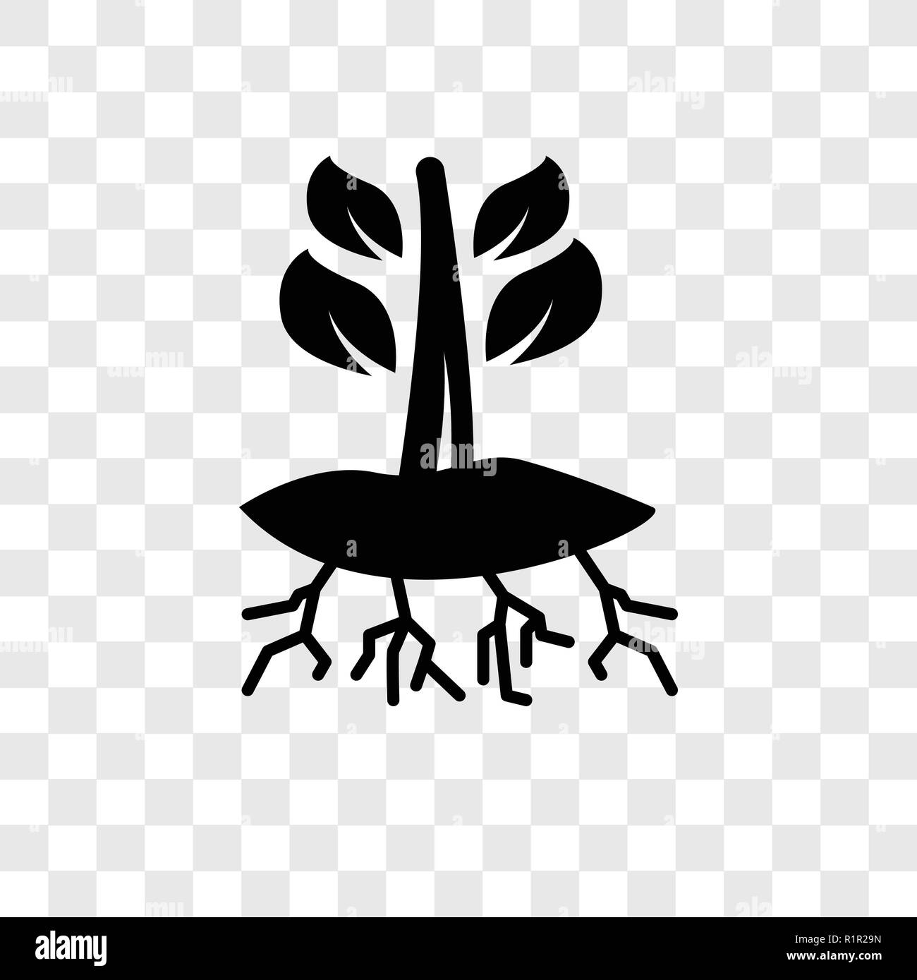 Plant and root vector icon isolated on transparent background, Plant ...