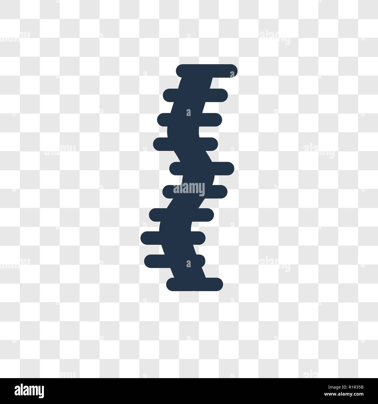 Spinal column vector icon isolated on transparent background, Spinal ...