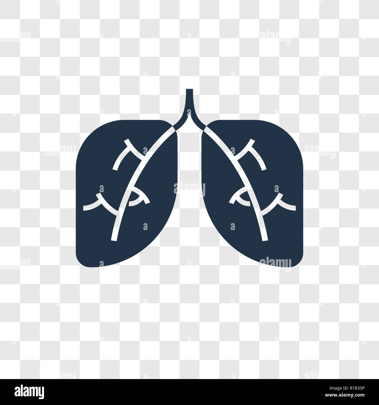 Lungs vector icon isolated on transparent background, Lungs ...