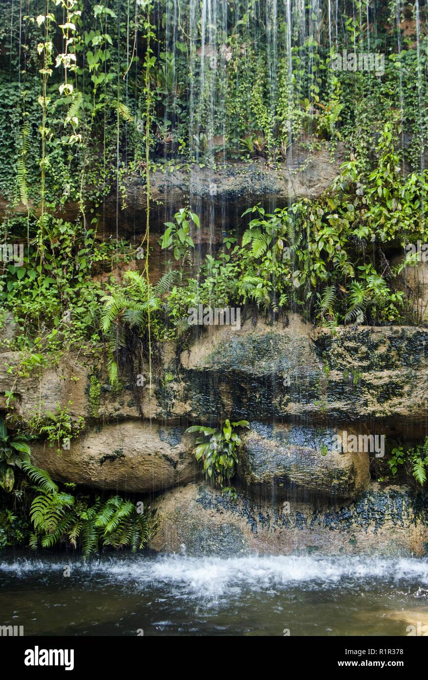 background image is a small waterfall, waterfall and garden ornaments ...