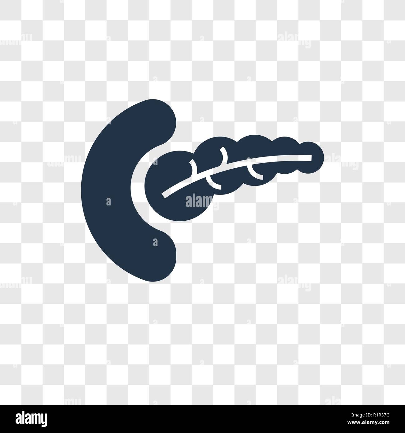 Pancreas vector icon isolated on transparent background, Pancreas ...