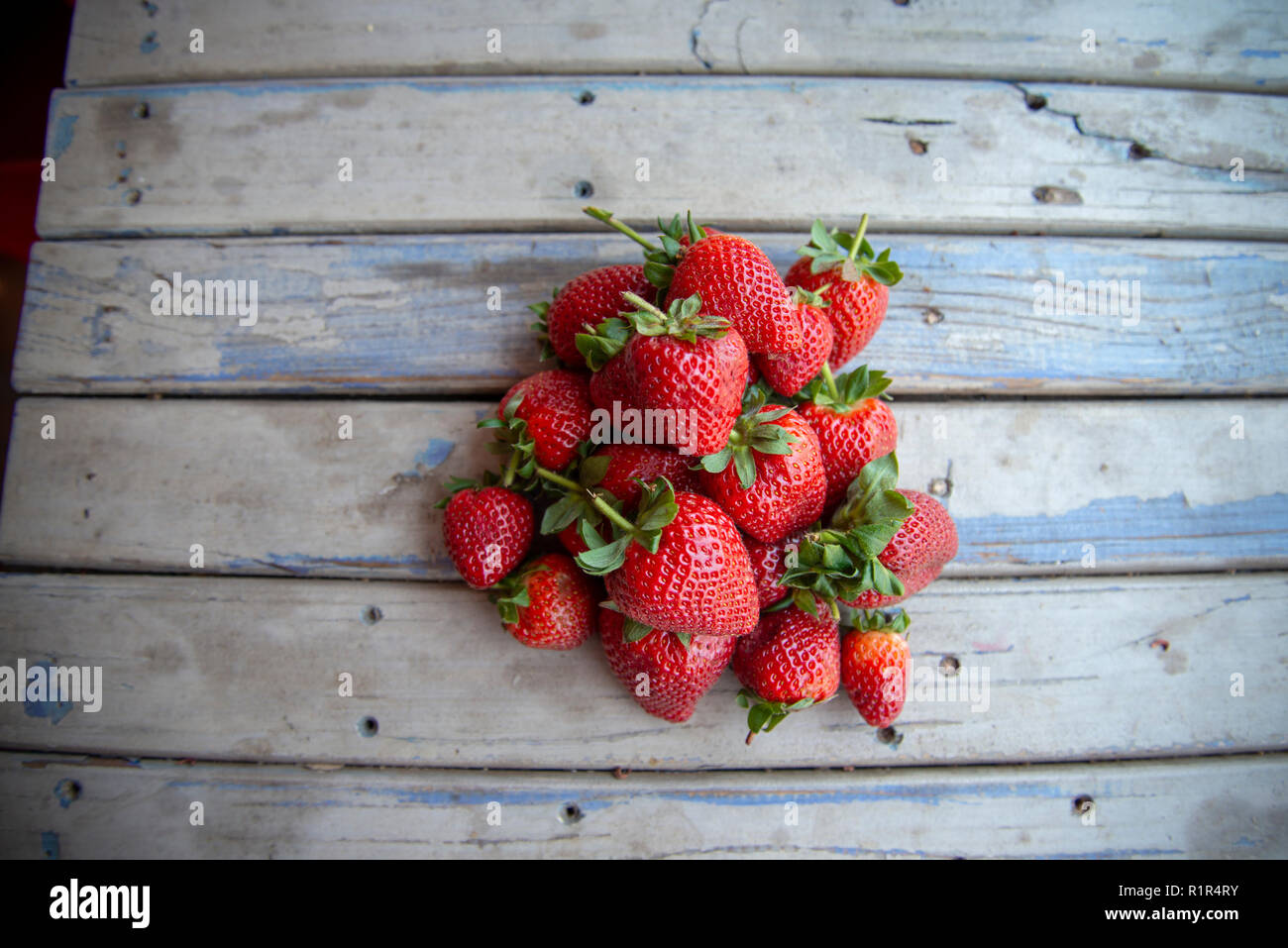 Fresh South African strawberries Stock Photo - Alamy