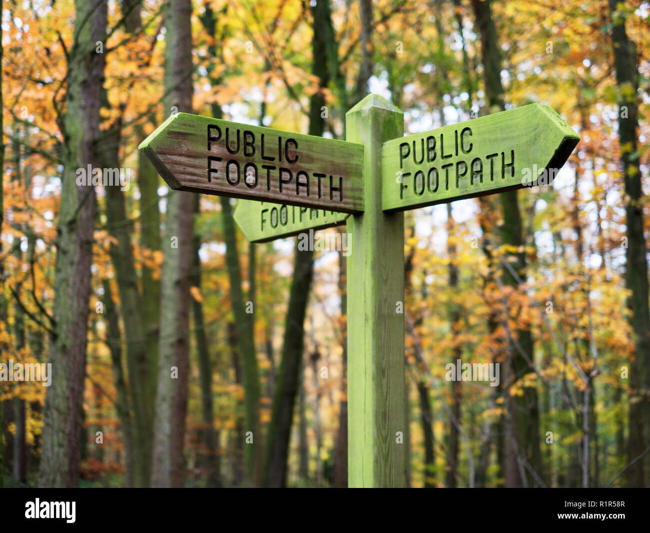 Public footpath signpost in autumn woodland at Hornbeam Park Harrogate ...