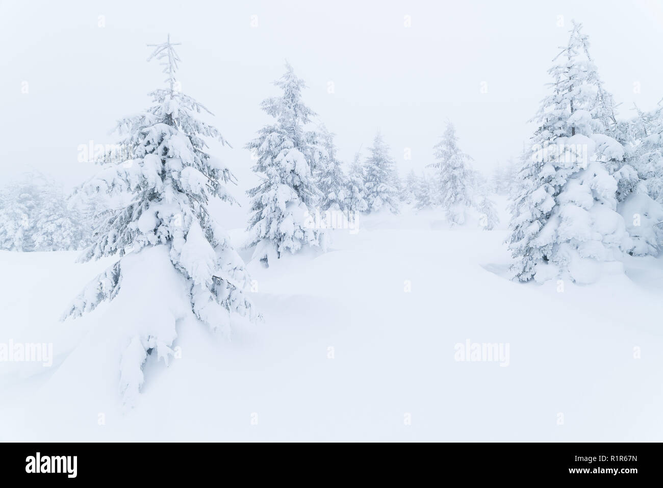 Snow overcast hi-res stock photography and images - Alamy